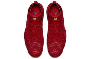 JORDAN Air Flyknit Elevation "last Shot