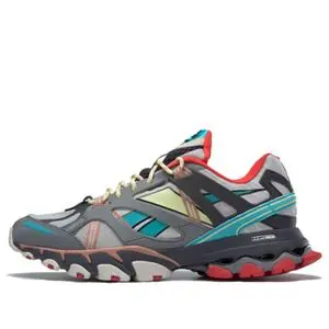 REEBOK Dmx Trail Shadow Fv2844 Sneakers - Grey/blue