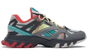 REEBOK Dmx Trail Shadow Fv2844 Sneakers - Grey/blue