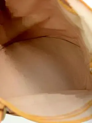 LOUIS VUITTON Monogram Gm Bucket Bag