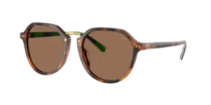 Polo Ralph Lauren Tortoiseshell Wayfarer Sunglasses