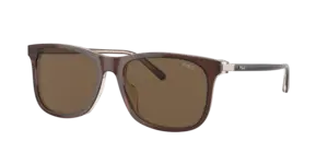 Polo Ralph Lauren Sunglass Ph4186u - Brown