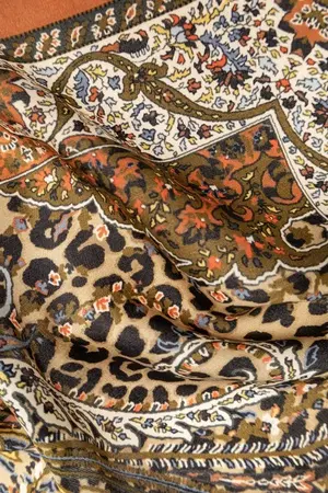 Etro Printed Scarf - Multicolor