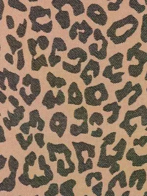 MC2 SAINT BARTH Foutas Leopard-print Fringed Beach Towel