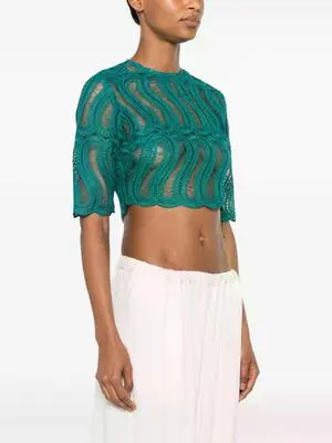 Raquel Diniz Emerald Lace-embroidered Cropped Top