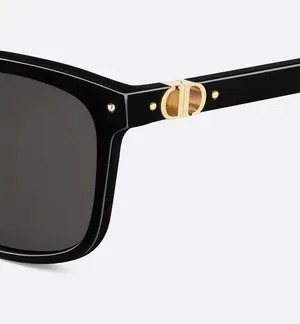 Dior Petit Cd S2i Sunglasses