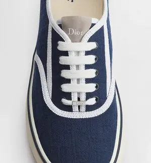 Dior Saltwind Sneakers