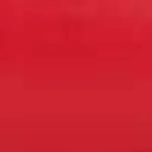 Alaïa Leather Bloom Mules 55 - Red