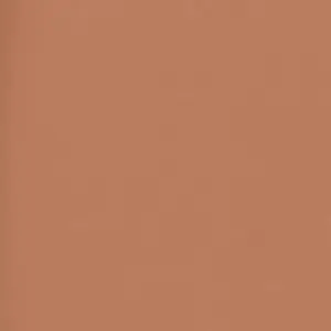 Bobbi Brown Skin Concealer Stick - Brown