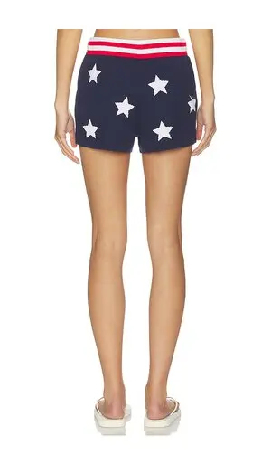 Beach Riot Star Print Knit Shorts