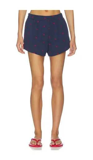 Beach Riot Malik Short