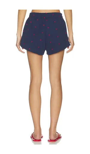 Beach Riot Malik Short