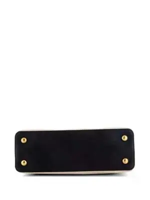 LOUIS VUITTON Capucines Pm Satchel In Canvas And Taurillon Leather