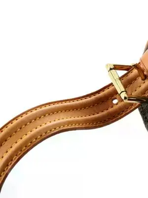 LOUIS VUITTON Monogram Canvas Viva Cite Mm Shoulder Bag