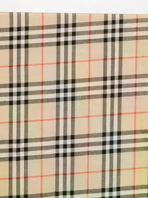 Burberry Check Fringed Scarf - Neutrals