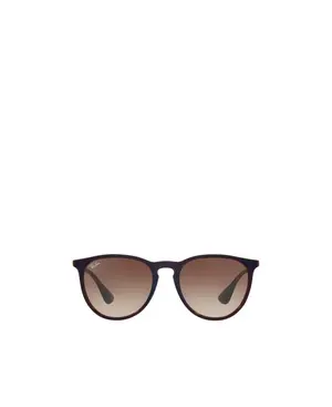 Ray-ban Erika Classic Sunglasses