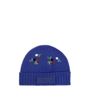 Marni Knitted Embroidered Beanie - Blue