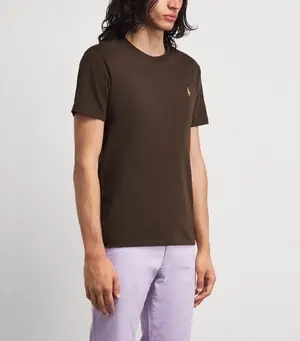 Polo Ralph Lauren Cotton Polo Pony T-shirt - Brown