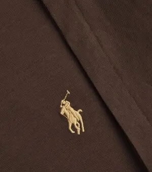 Polo Ralph Lauren Cotton Polo Pony T-shirt - Brown