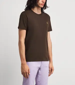 Polo Ralph Lauren Cotton Polo Pony T-shirt - Brown