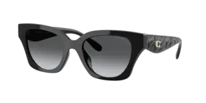 COACH Coach Cad18 Sunglasses Grey Solid