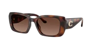 COACH Sunglasses - Brown Gradient Polarized