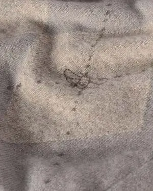 Johnstons Of Elgin Clan Argyle Cashmere Jumper