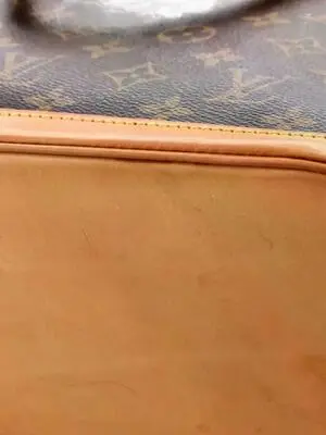 LOUIS VUITTON Monogram Canvas Alma Pm Satchel