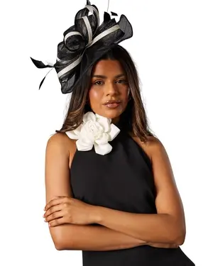 Coast Petite High Neck Corsage Midi Dress