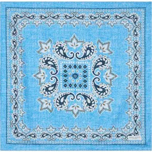 Robert Talbott Harmon Reversible Silk Neckerchief - Light Blue