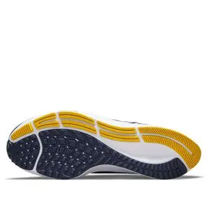 Nike Zoom Pegasus 38 "michigan" Sneakers