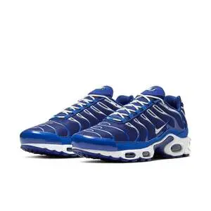 Nike Max Plus "arctic Chill" Sneakers - Blue