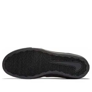 Nike Portmore 2 Solar Sb 'triple - Black
