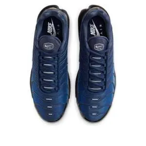 Nike Max Plus Sneakers