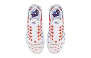 Nike Max Plus Sneakers