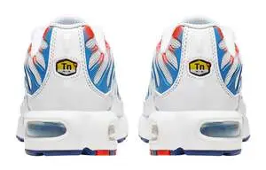 Nike Max Plus Sneakers