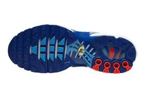 Nike Max Plus Sneakers