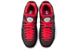 LI-NING Way Of Wade 5 "announcement" Athletic Shoes