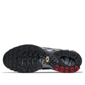 Nike Max Plus Sneakers - Black/grey