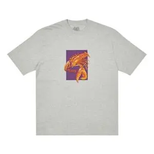PALACE Fw22 Thermadore T-shirt - Grey