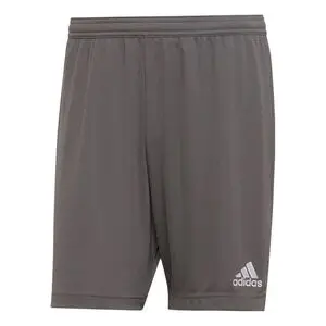 Adidas Entrada 22 Shorts - Grey