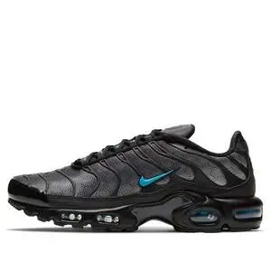 Nike Nike Air Max Plus "Black Hex" Sneakers Black/blue