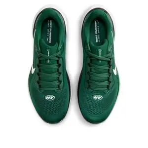 Nike Zoom Pegasus 41 "new York Jets - Black/anthracite/black