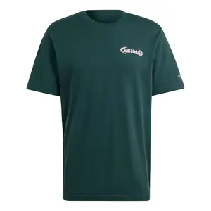 Adidas Graphic Campus T-shirt 'green