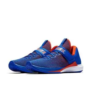 JORDAN Air Trainer 3 "florida Gators
