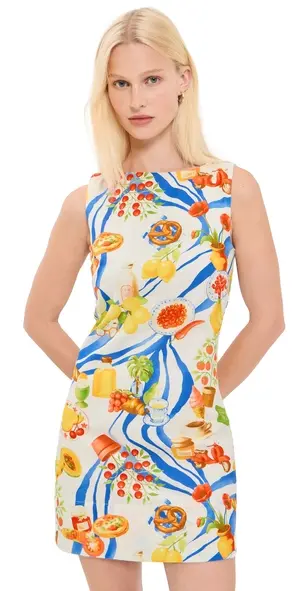 Moon River Sleeveless Boatneck Mini Dress