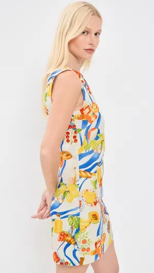 Moon River Sleeveless Boatneck Mini Dress