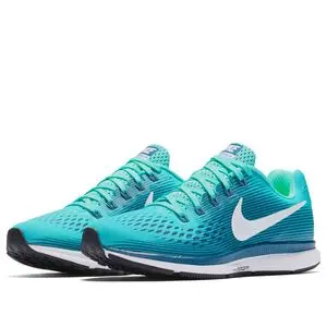 Nike Zoom Pegasus 34 - Black/brown