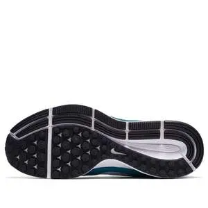 Nike Zoom Pegasus 34 - Black/brown