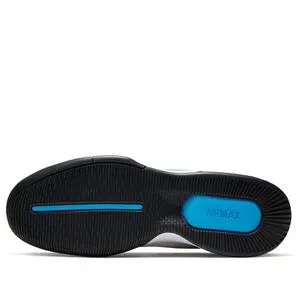 Nike Max Wildcard Hc Athletic Shoes - Grey/blue